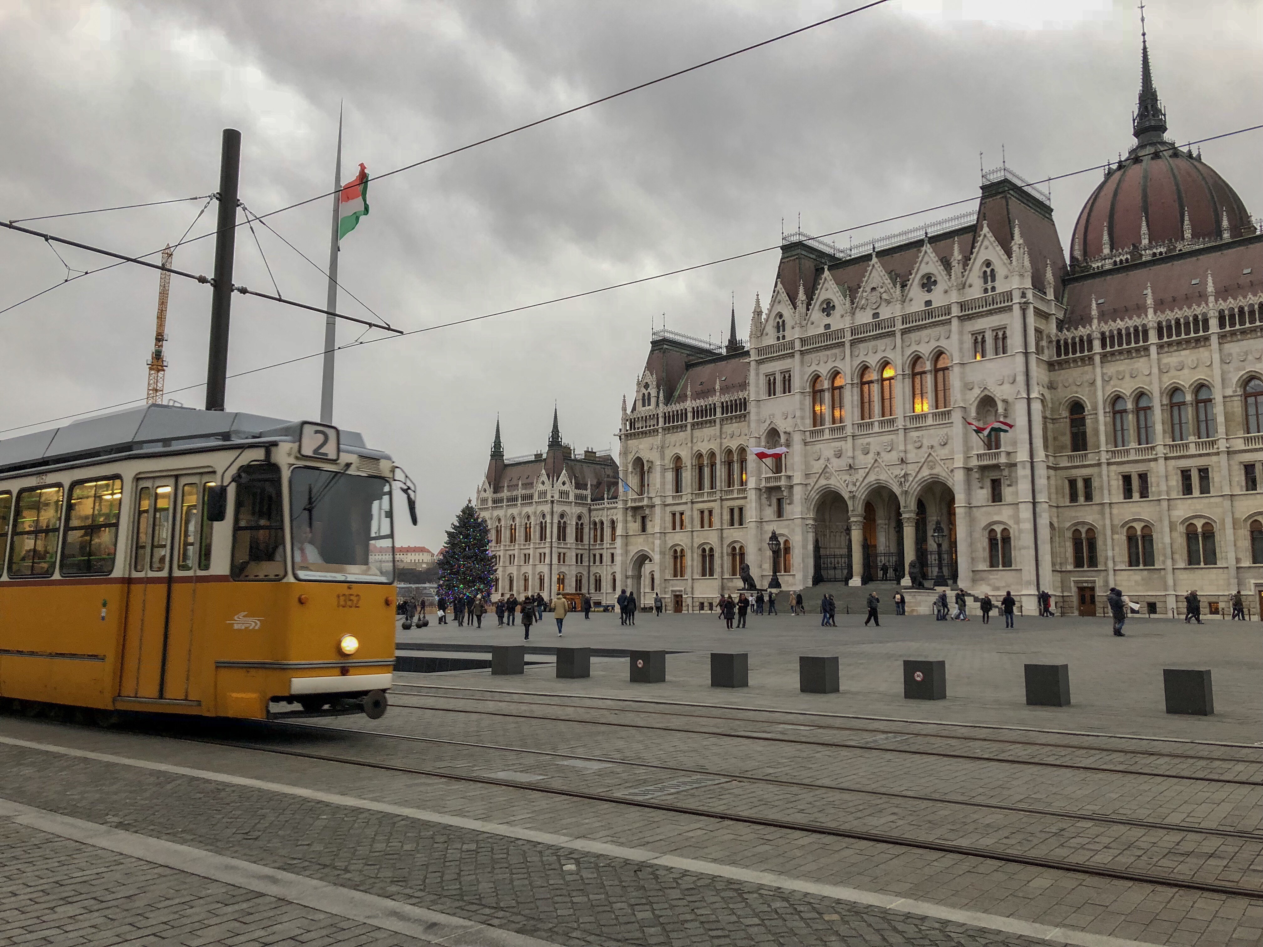 img_3139｜Kitokito.world